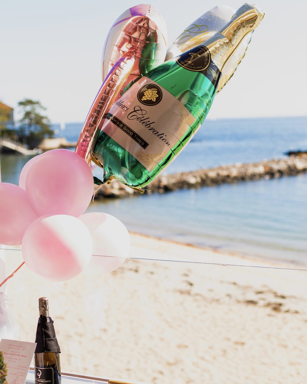 My Bridal Shower - Amy Littleson